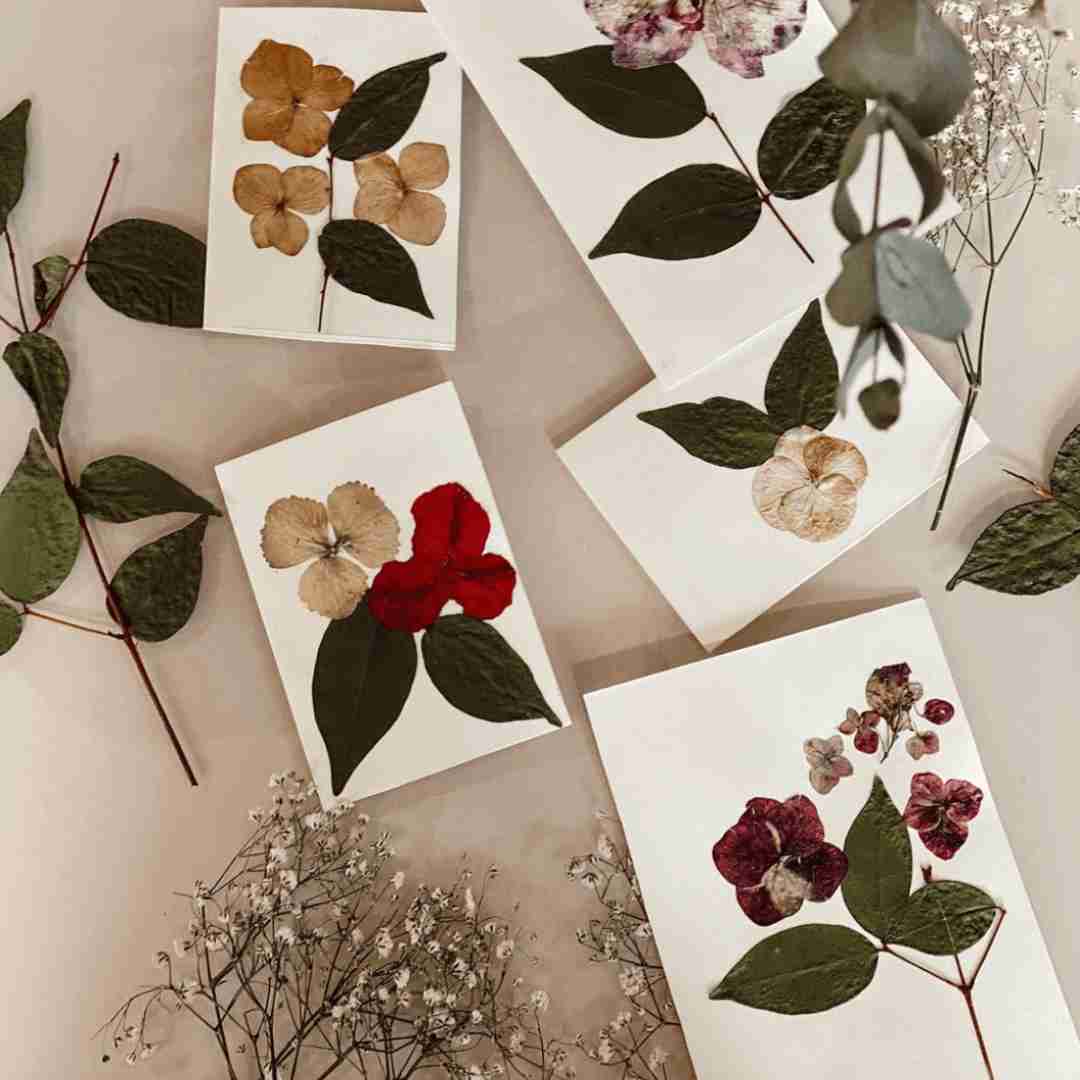 A arte de desidratar flores L - Universo das Desidratadas 0 Due Flor