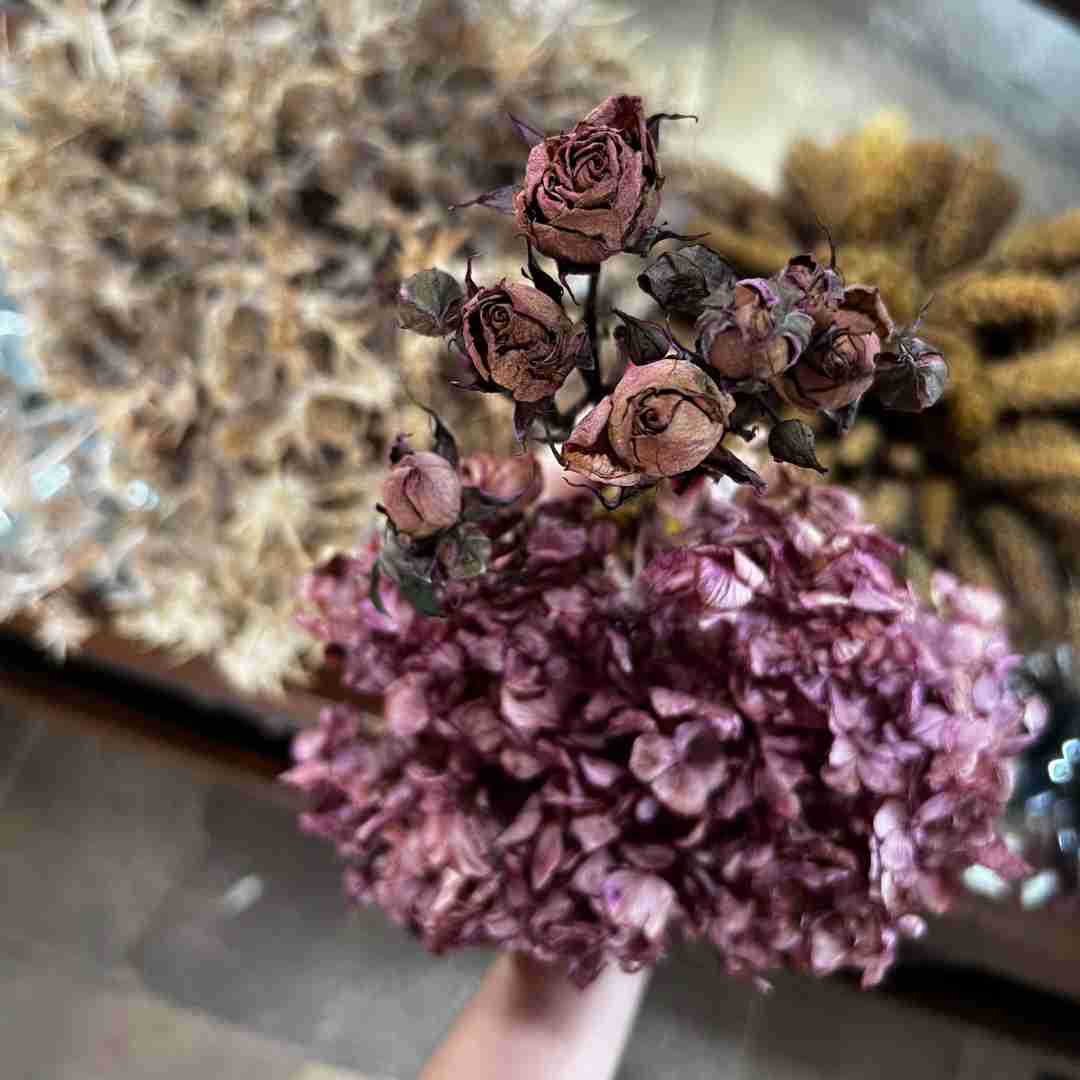 A arte de desidratar flores L - Universo das Desidratadas 0 Due Flor